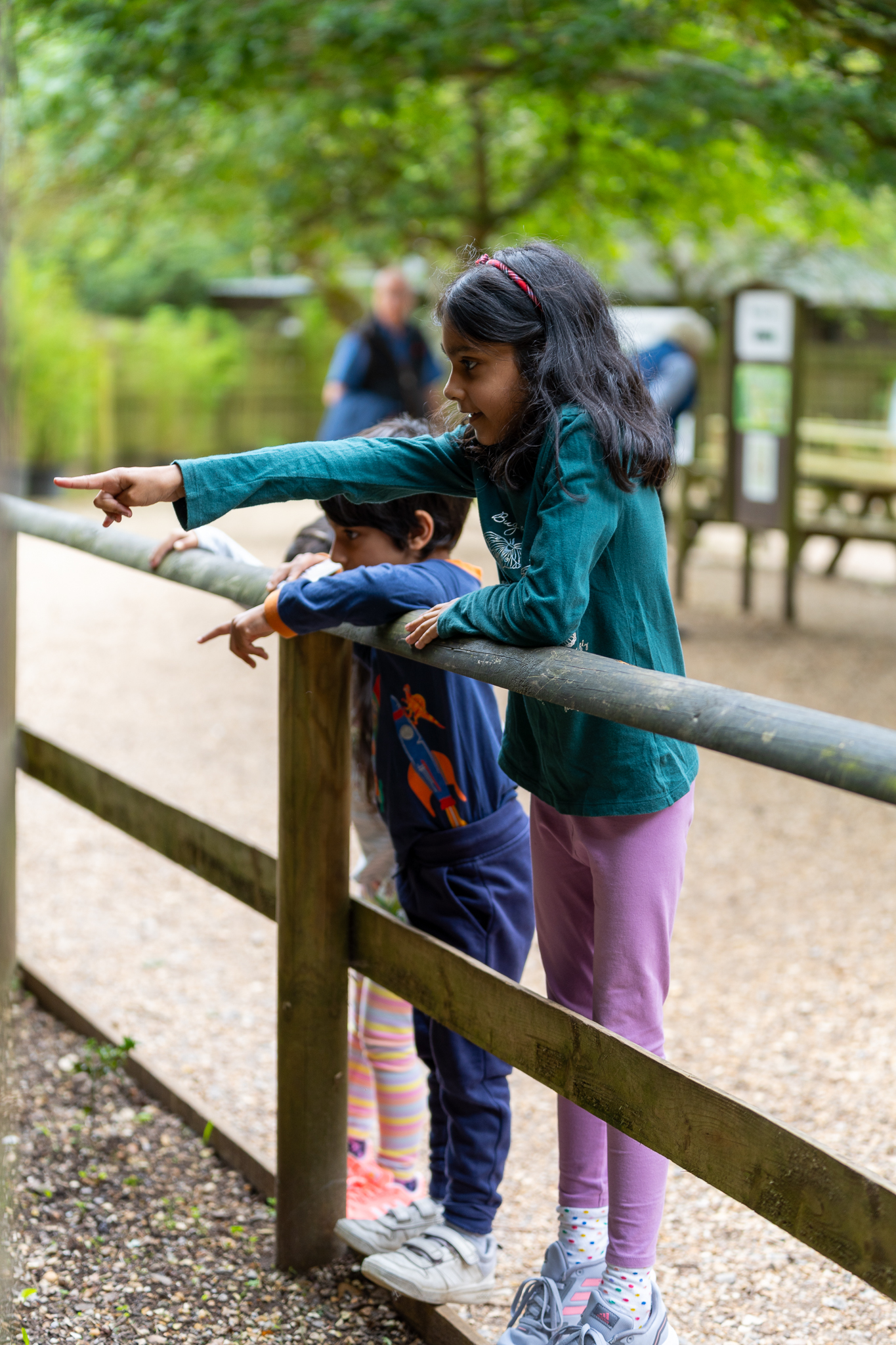 Whats On at New Forest Wildlife Park - Events & Activities
