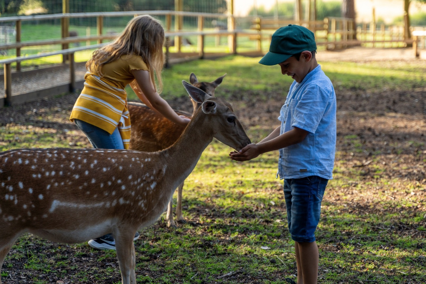 New Forest Wildlife Park | Ashurst, Hampshire