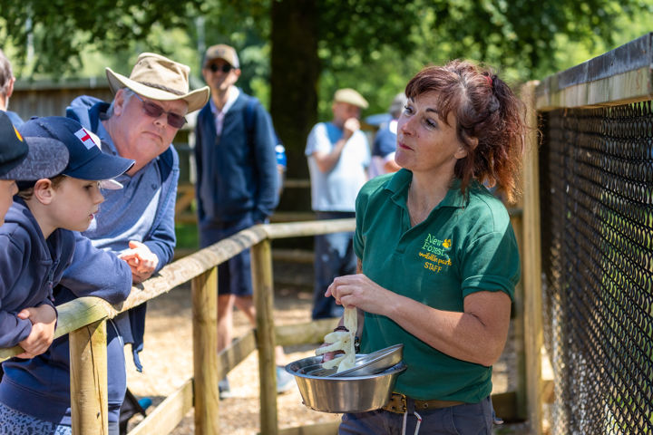 Keeper Talks & Feeding Times at New Forest Wildlife Park