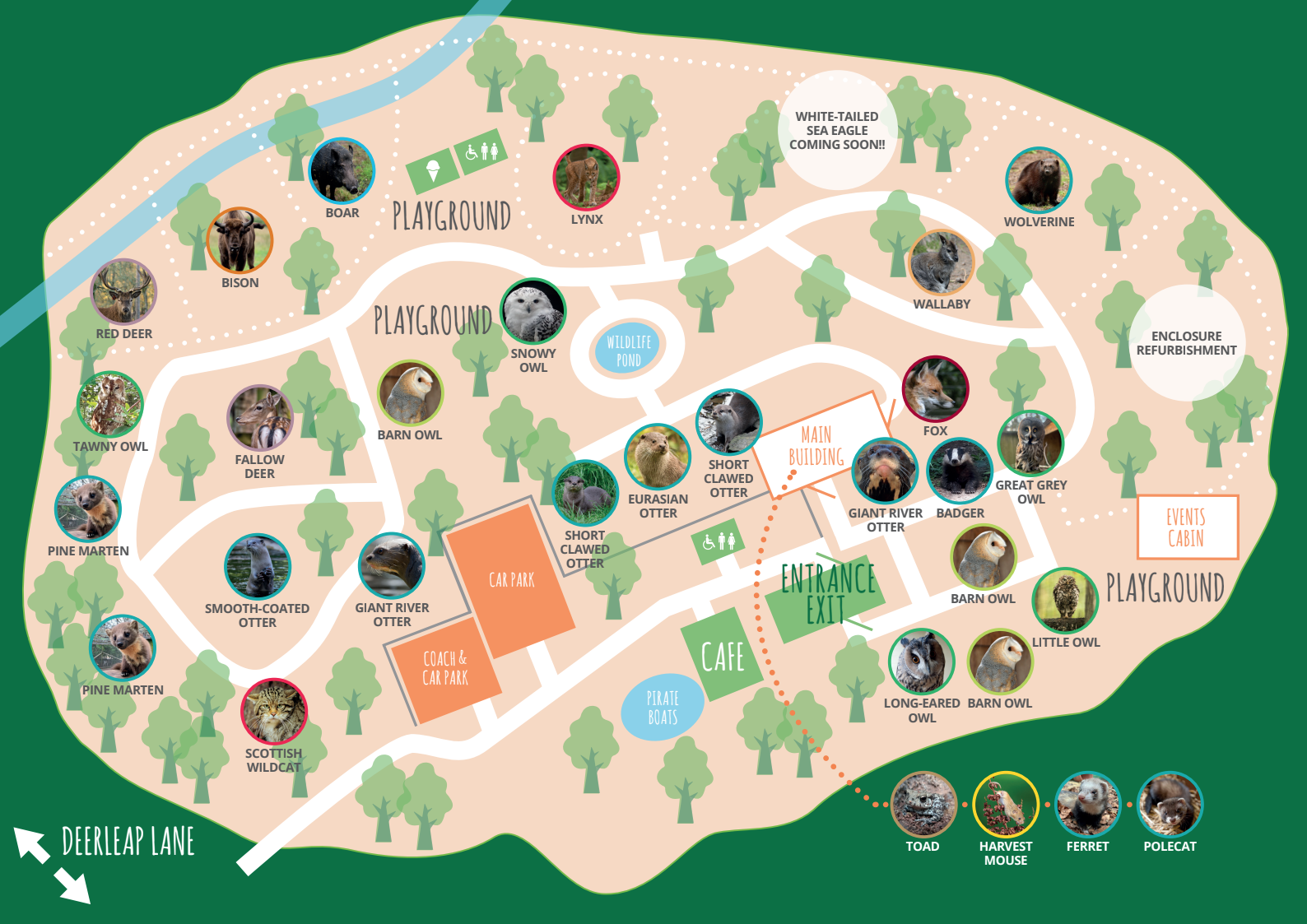 What to see and do at New Forest Wildlife Park