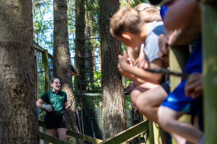 Keeper Talks & Feeding Times at New Forest Wildlife Park